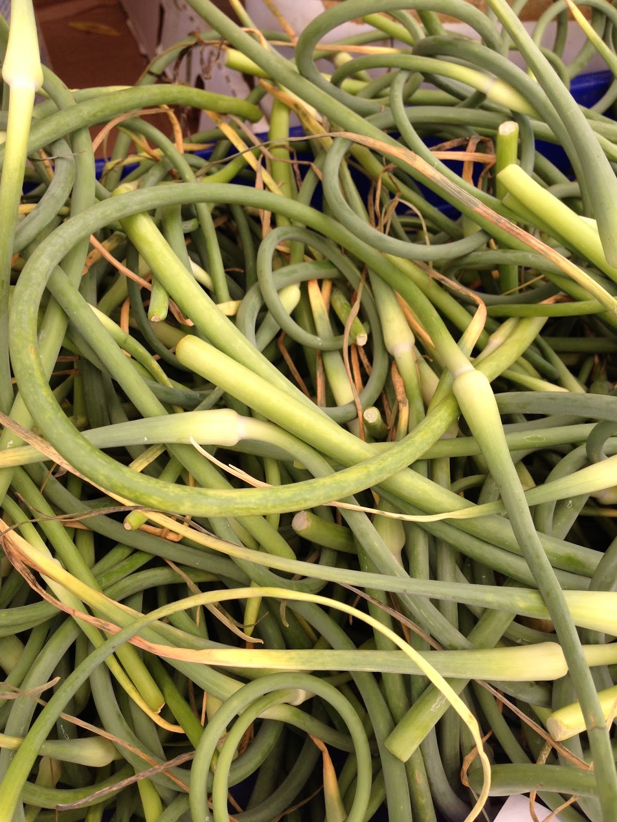 Kerry McArthur Nutrition