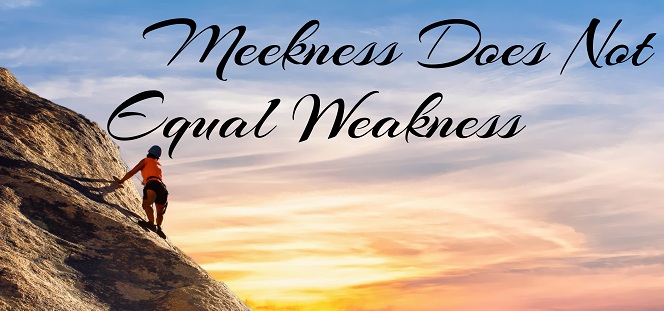 True Fruit Bearers: Meekness (Humbleness)