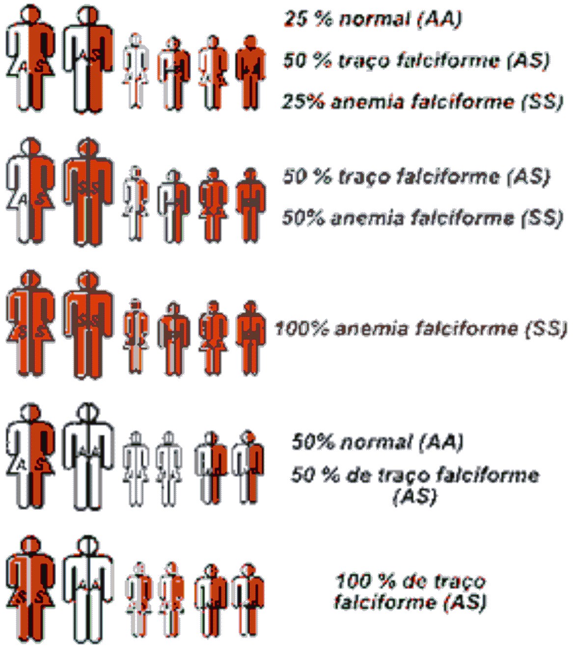 Anemia Falciforme ~ Liceu Online Petrópolis