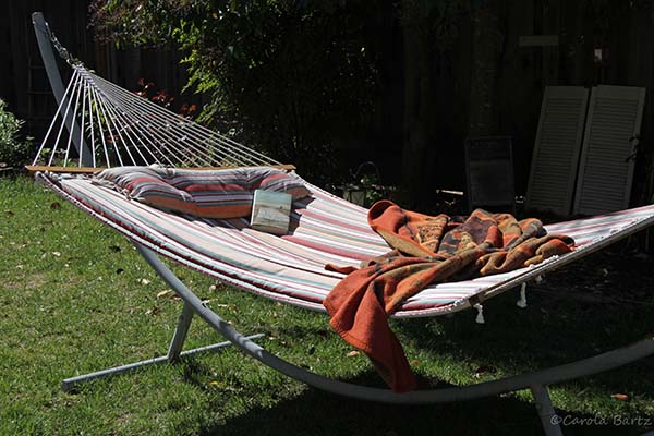 carola bARTz: Spring Break (Photo of the Week)