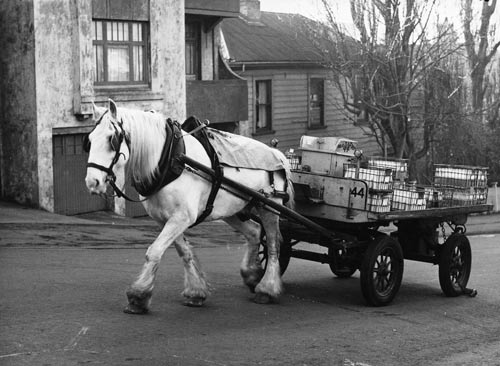 Excerpts from Leominster's History - 1960s Milkmen and Ashmen (Refuge ...