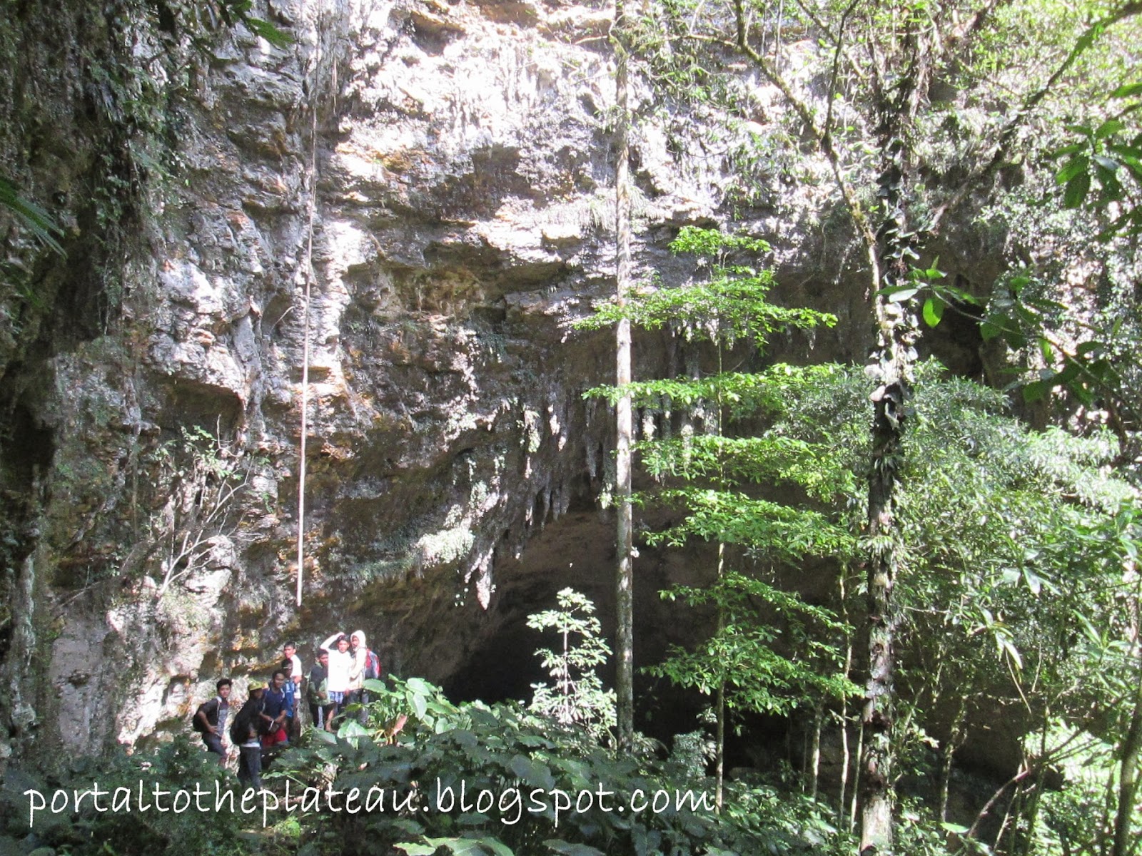 Portal to the Plateau: The Wide-Mouthed Guano Cave