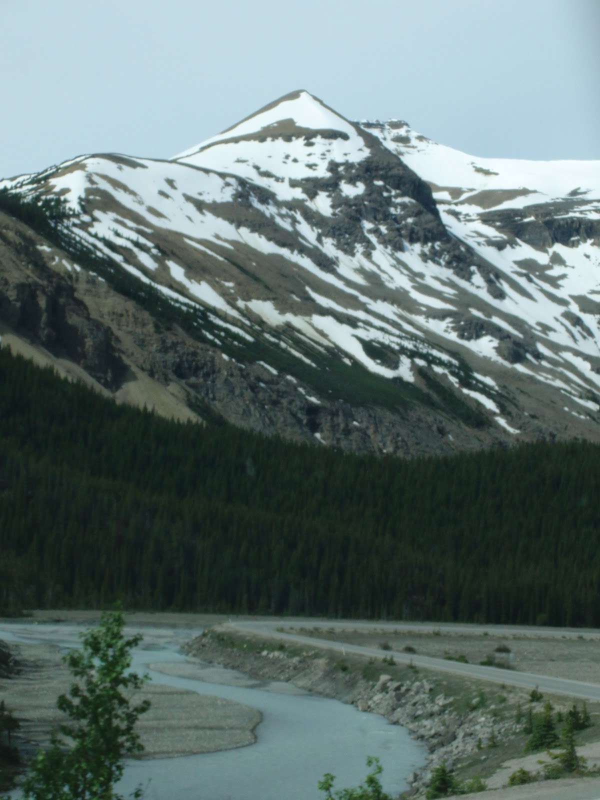 Home page: Golden to Hinton, Alberta, Canada