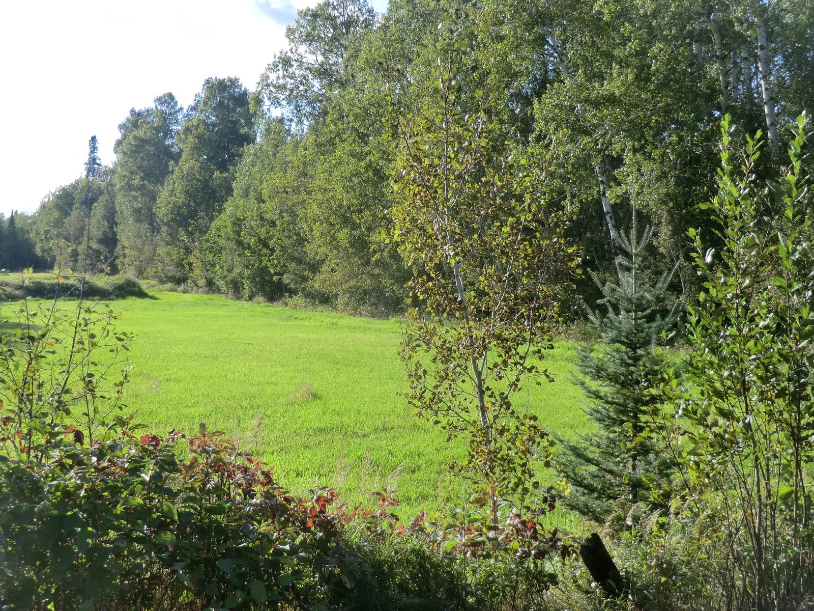 From Nature to Home : April in Northern Ontario