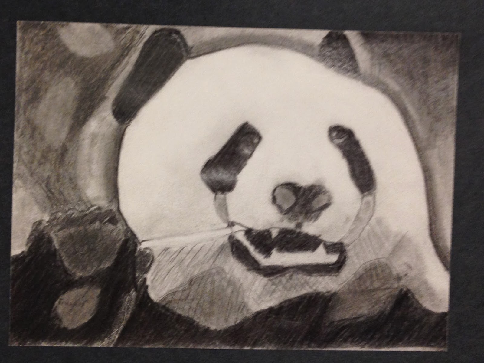 Art Alley: Drawing Rendering: 7th Graders Learn to See