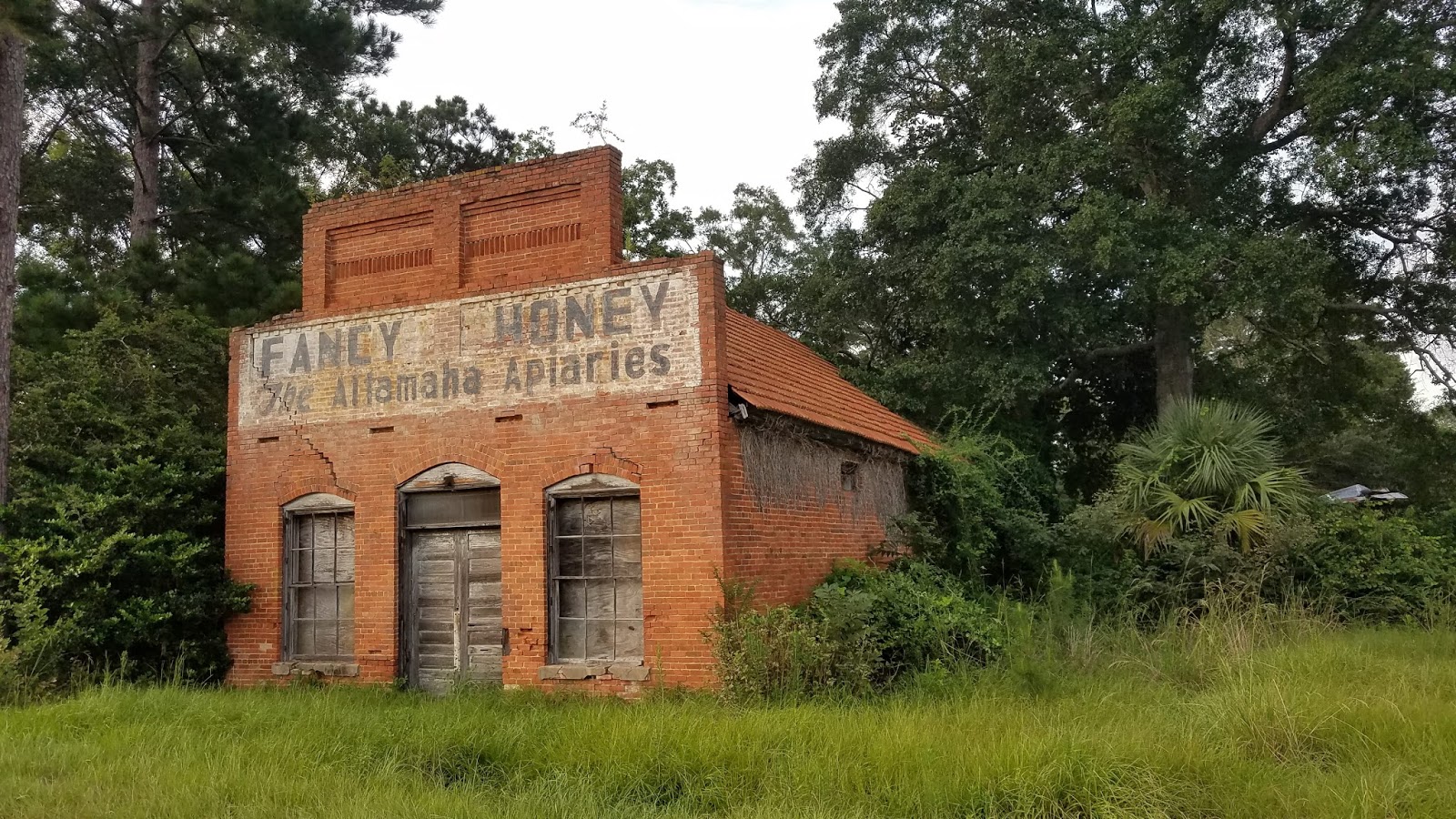 Forgotten Georgia: The Altamaha Apiaries in Gardi