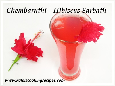 KALAI'S COOKING RECIPES: Chembaruthi Poo Sarbath | Five Petals Hibiscus ...