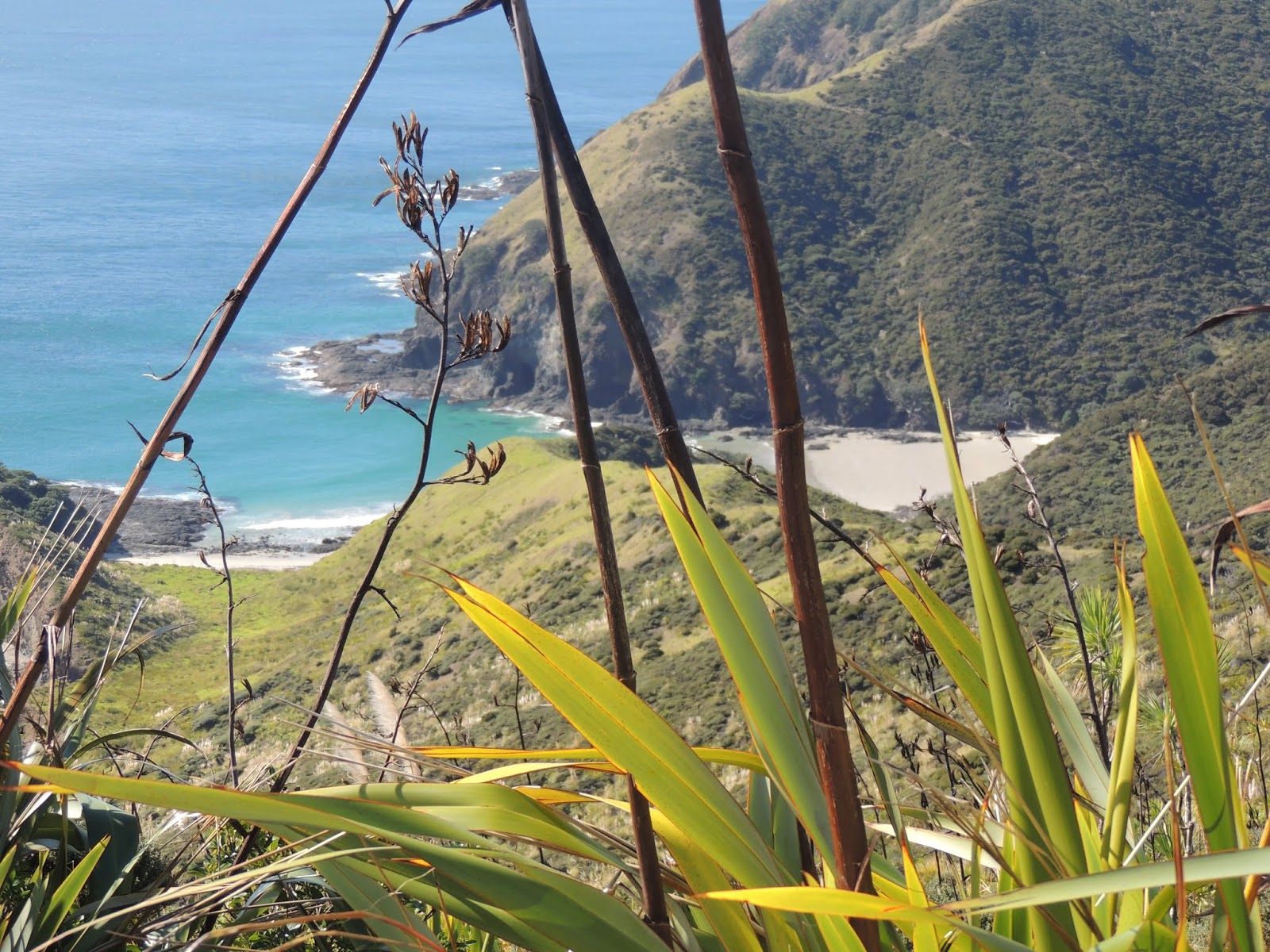 THE ROAD TAKEN : Cape Reinga/Te Rerenga Wairua and the Te Paki Sand Dunes