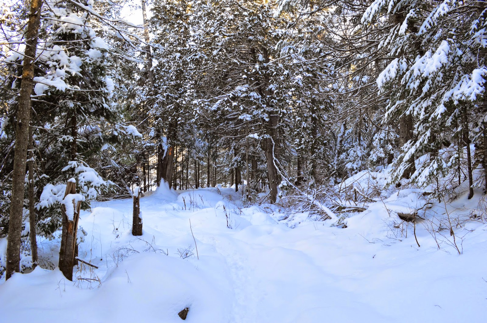 Parc de la rivière Doncaster