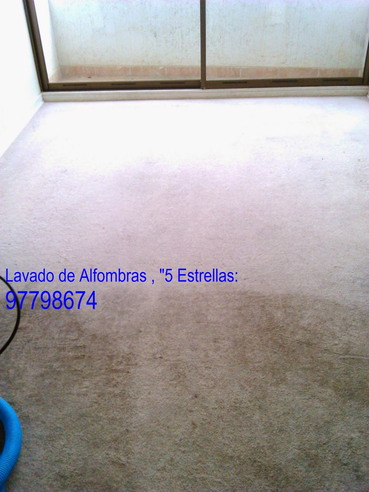 Lavado De Alfombras Limpieza De Tapiz Antes Y Despues Del Lavado De Alfombras