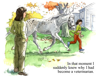 Living My Dream- Becoming A Vet: Getting Experience Shadowing a ...