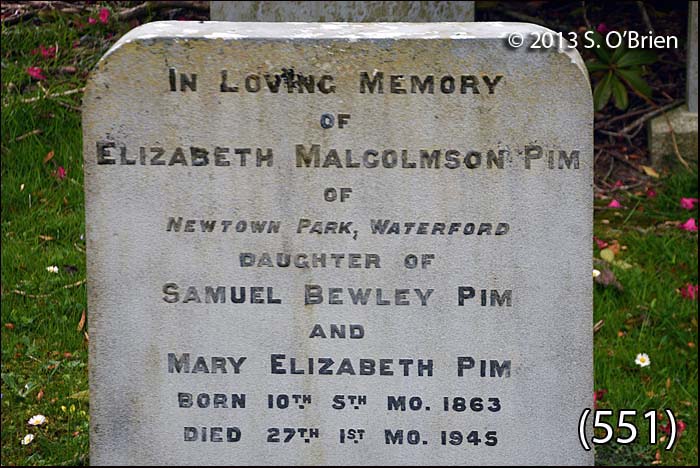 Portlaw: The ROSENALLIS CONNECTION