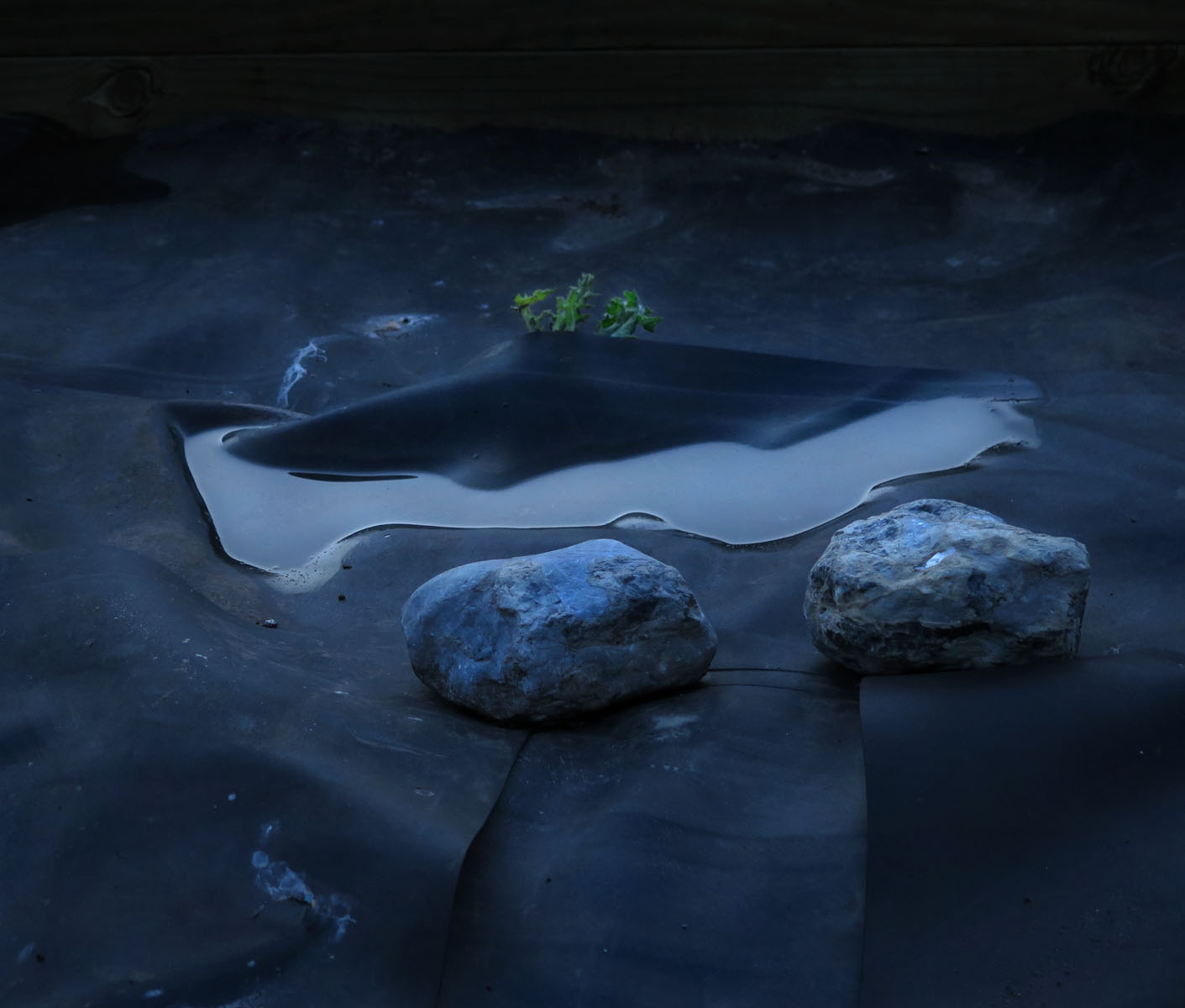 Steven D. Foster ~ Photographs : The Departing Landscape website: WATER ...