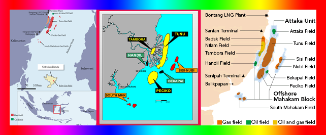 the East Sepinggan block, offshore East Kalimantan