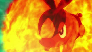 Pokémon Era Black: BW Attack Dex: Tepig