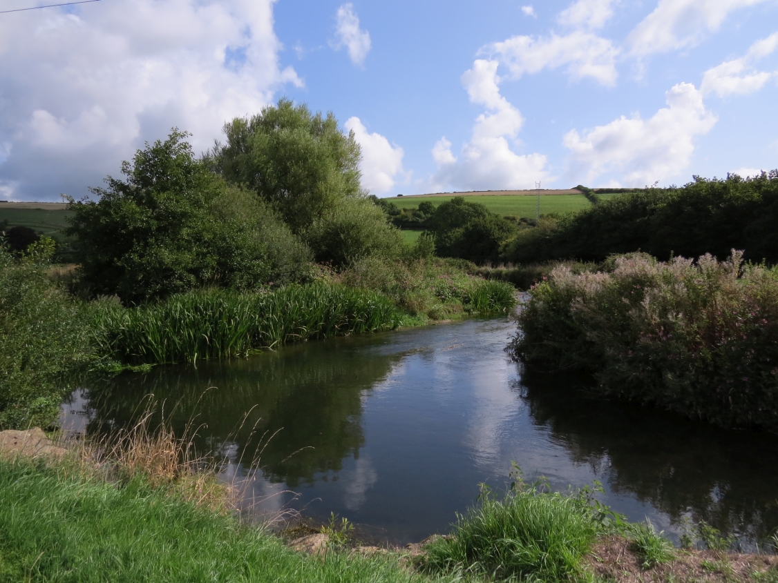 Walking Dorset's gridsquares: Frome Valley Trail - Part 2 - Maiden ...