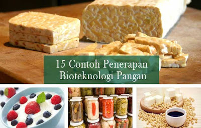 Bioteknologi Pangan : 15 Contoh Produk Bioteknologi yang Dihasilkan