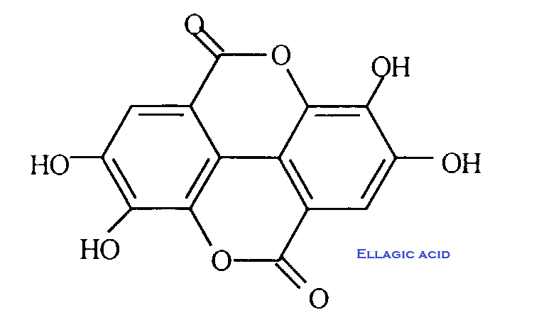 FOOD SCIENCE: Ellagitannins in food