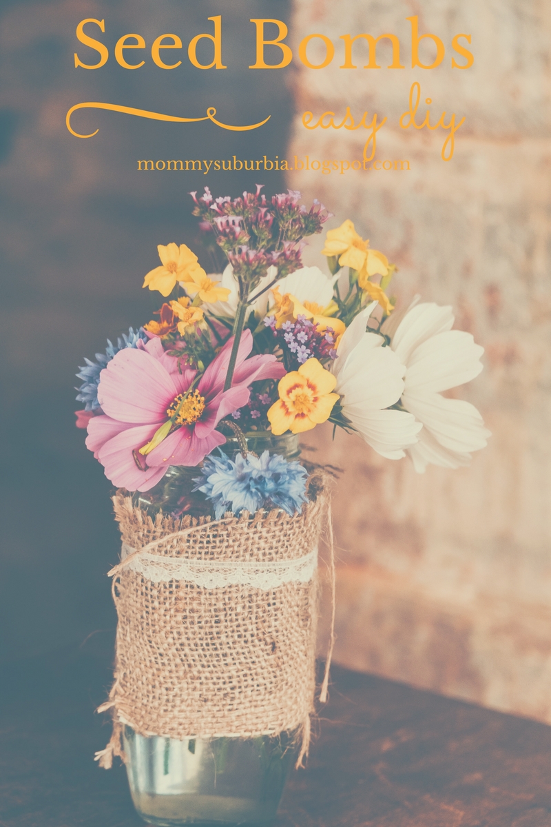 Mommy Suburbia: Make Your Own Flower Seed Bombs - A Fun & Easy Craft ...