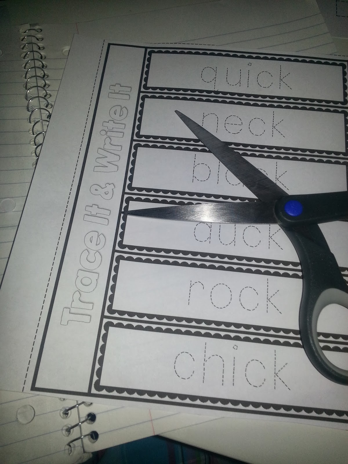 Phonics Interactive Notebook