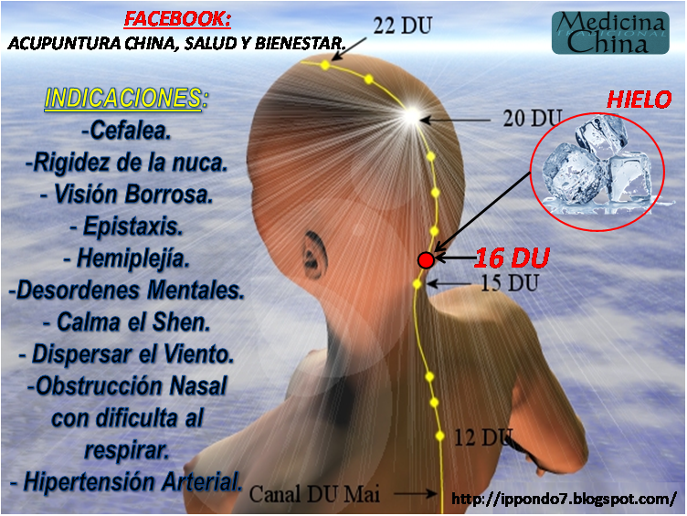ACUPUNTURA CHINA, SALUD Y BIENESTAR: FENG FU
