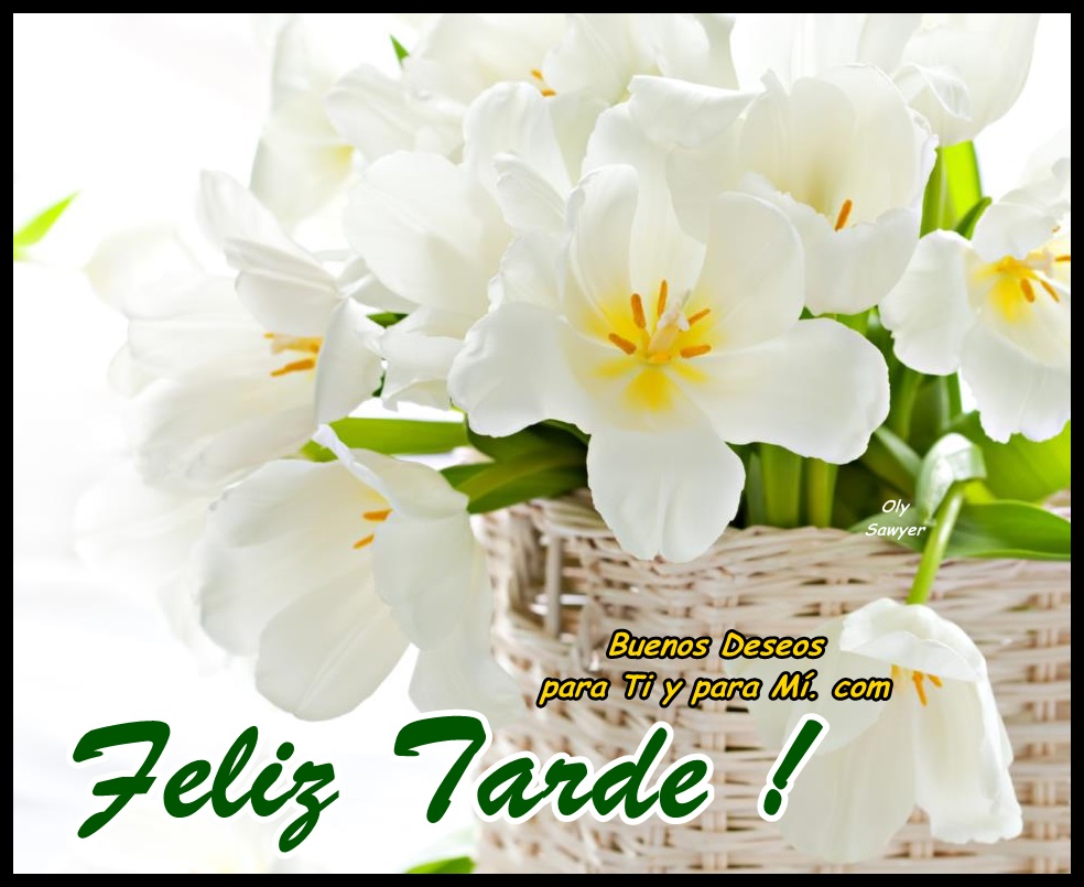 Feliz Tarde - Hermosas tarjetas y postales con mensajes y frases para ...