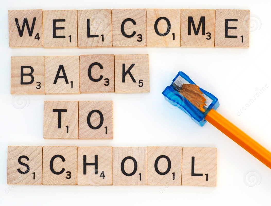 Year 4 Class: Welcome to Year 4!