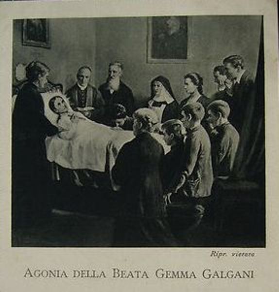 St Gemma Galgani: Pope Pius XII Letter of Decree for the canonisation ...