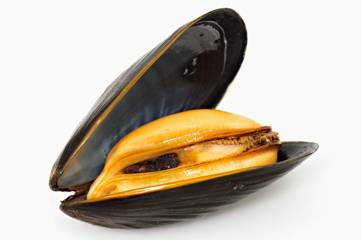 Mejillones ~ EL SAUCE seafood