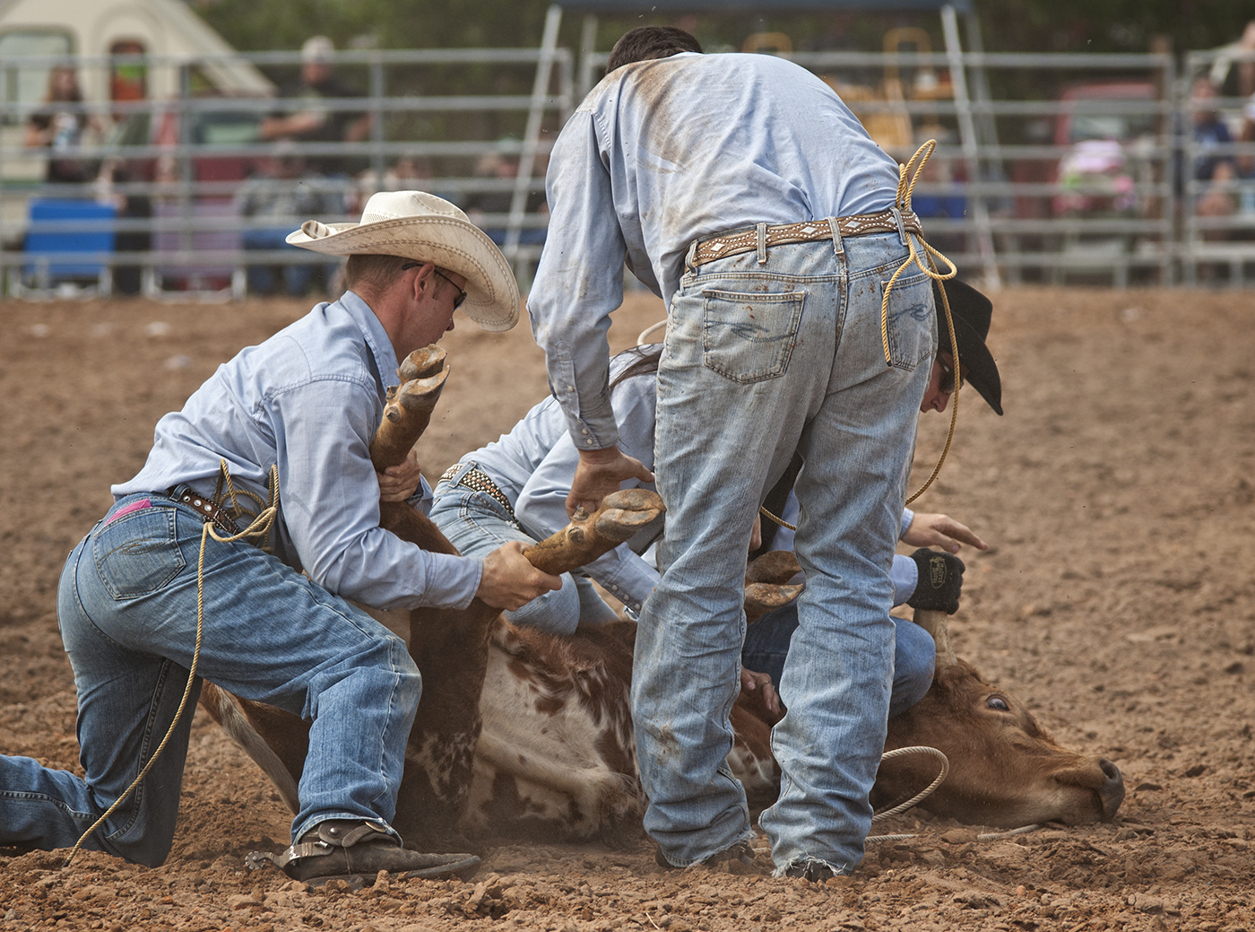 Photography Journal by Katherine Bargar: Ranch Rodeo Day - Yee Haw!