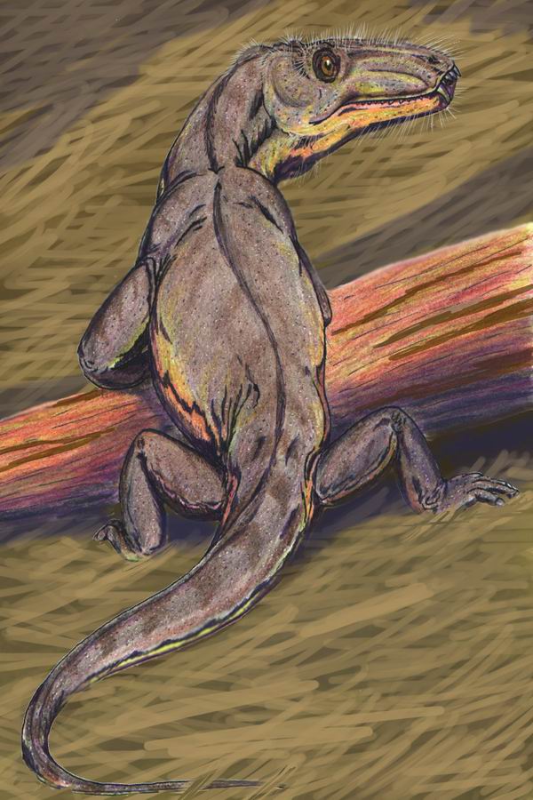 Reptossaurus: SYODON