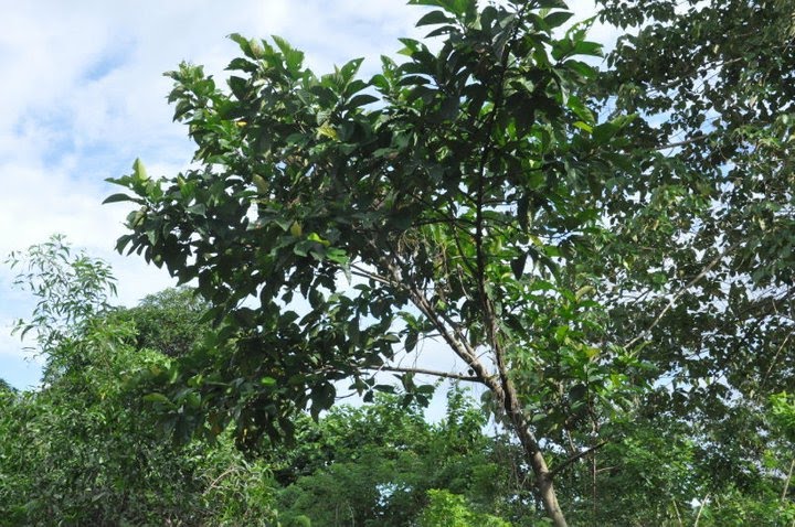 Aral Pinoy: 03/25/11