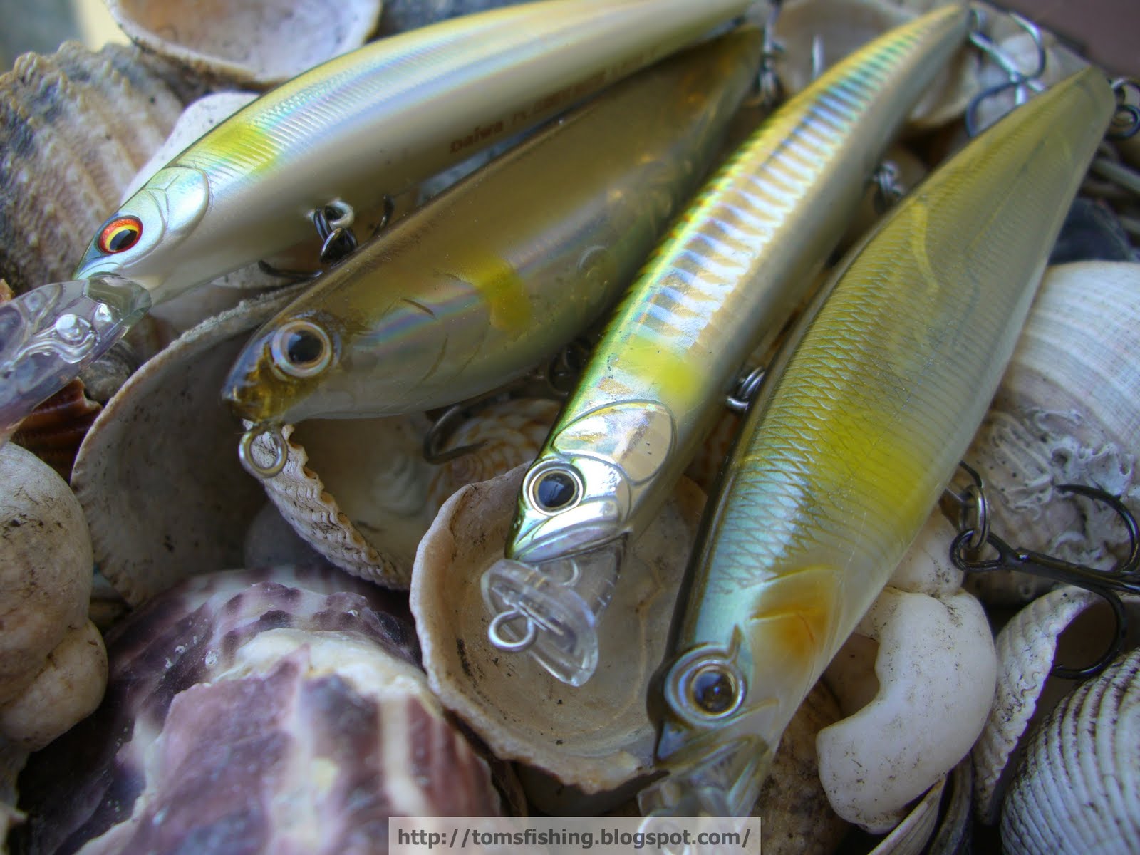 Toms Fishing Blog: Ayu pattern?