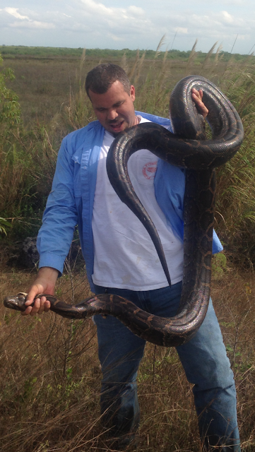 Florida Python Hunters: Another Good Day of Hunting