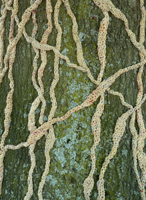 Barbara De Pirro 'biomimicry': 'roots & vines', Bellevue