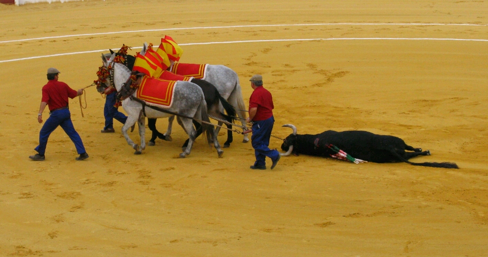 Trail Life: Spanien 7: Beim Stierkampf