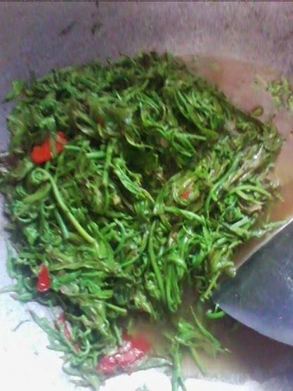 ADA KU KISAH: Sayur Lemiding,Lemidin atau Kemiding