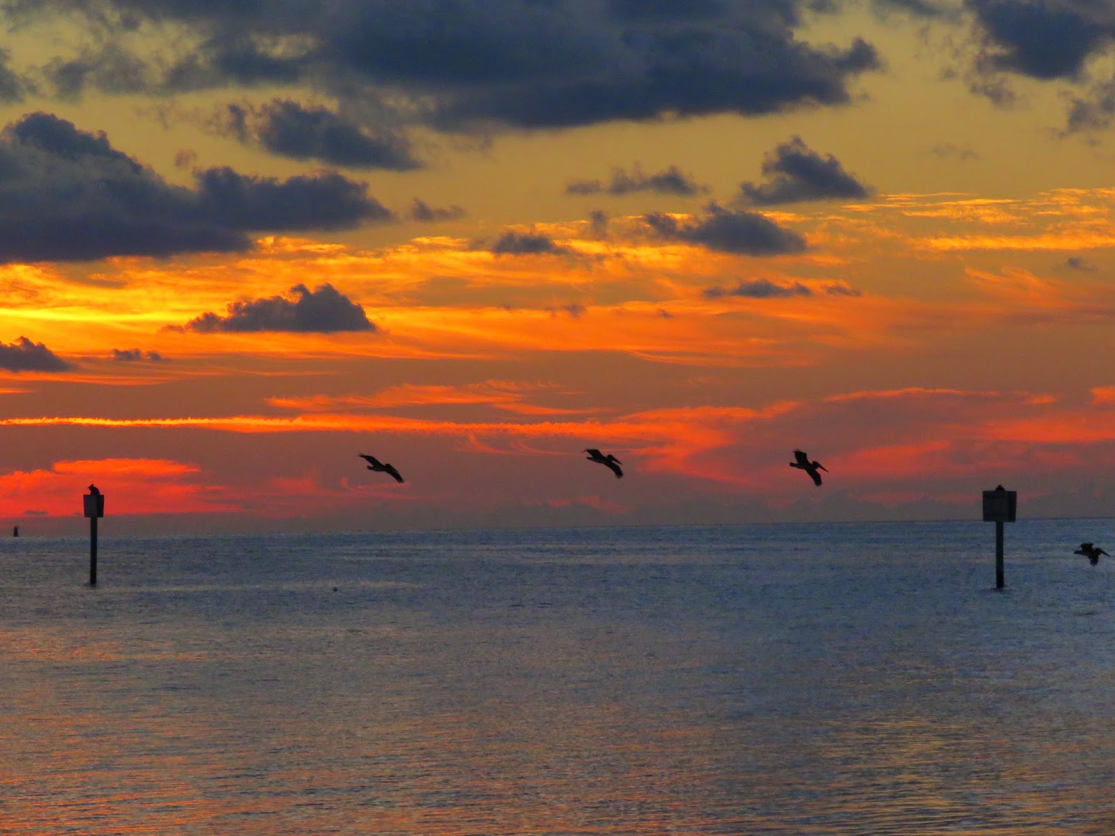 Visit Key West: Beautiful Key West