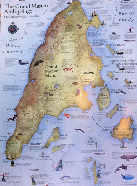 John Gordon/Listening to Birds: Grand Manan Archipelago 'Little Big ...