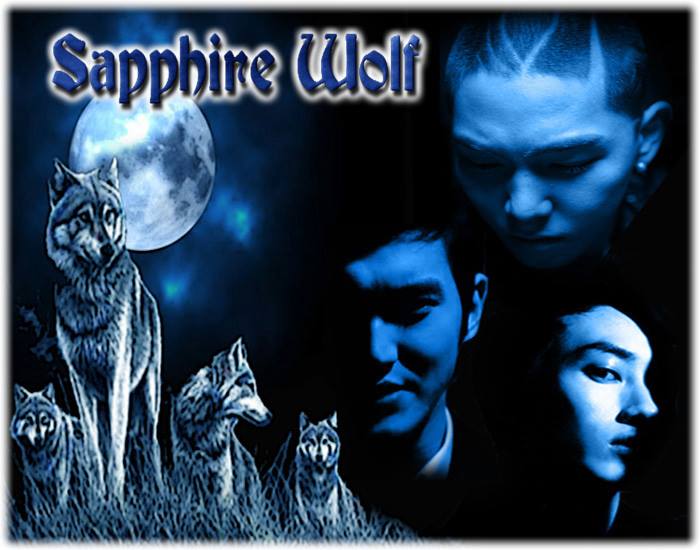 yota´s world: Saga Sapphire Wolf