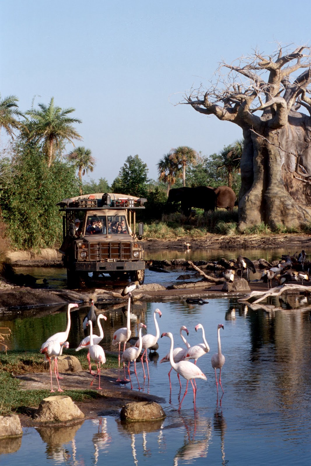 .: Roteiro para explorar o Animal Kingdom parte 3 - Africa