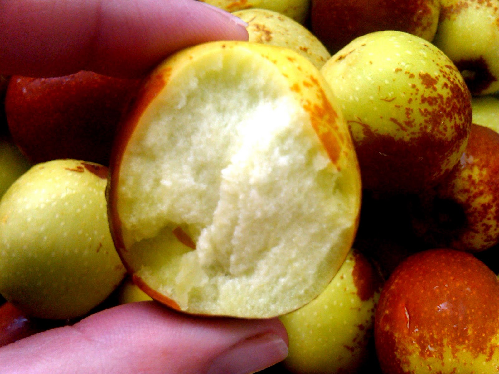 Autumn's Copper Pot: Jujube Butter