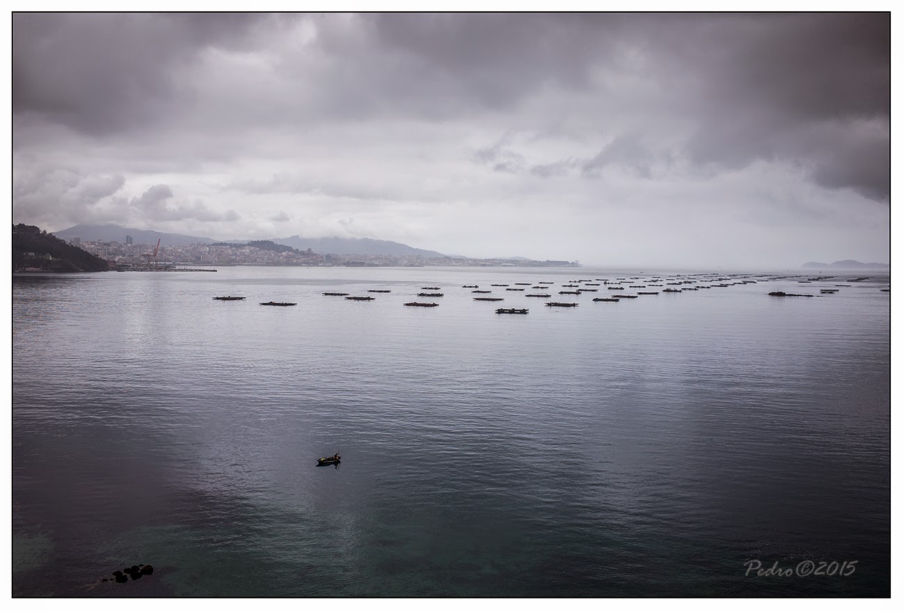 Foto-Grafías: La mar gris.