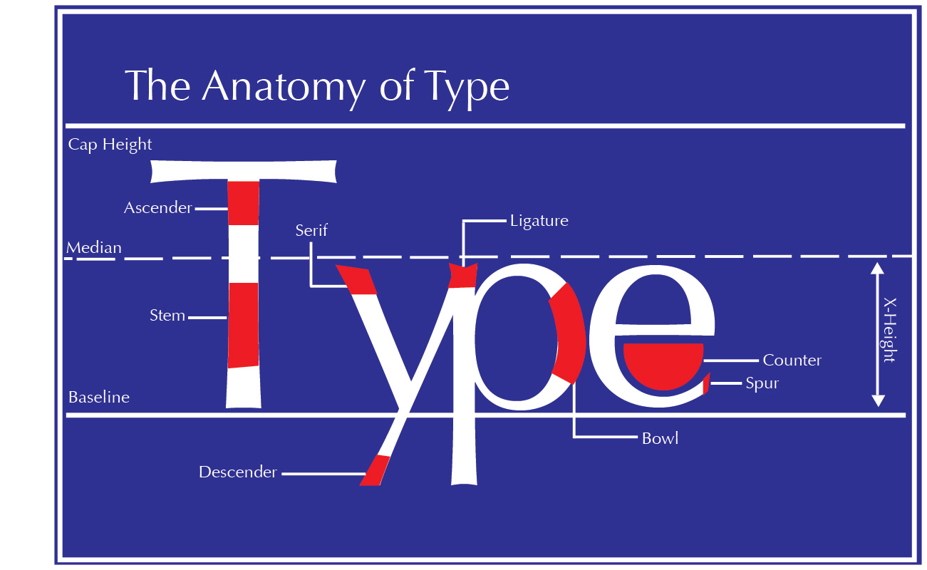 Advanced Graphic Design: VPA 380: Type Anatomy Poster