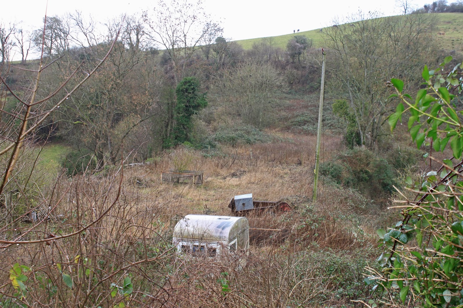 Captain Ahab's Watery Tales: Dunkerton - Somerset Coal Camal