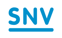 Job Opportunity at SNV Tanzania, Deputy Country Director