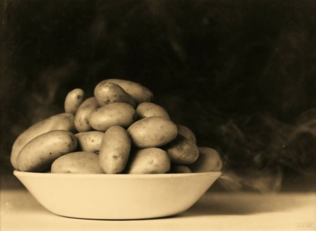 MEMOIRE VIVE: Pomme De Terre