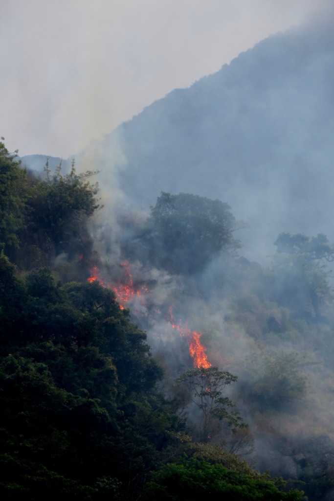 harithacharika - Travelling Nature in Sri Lanka: Knuckels - Meemure