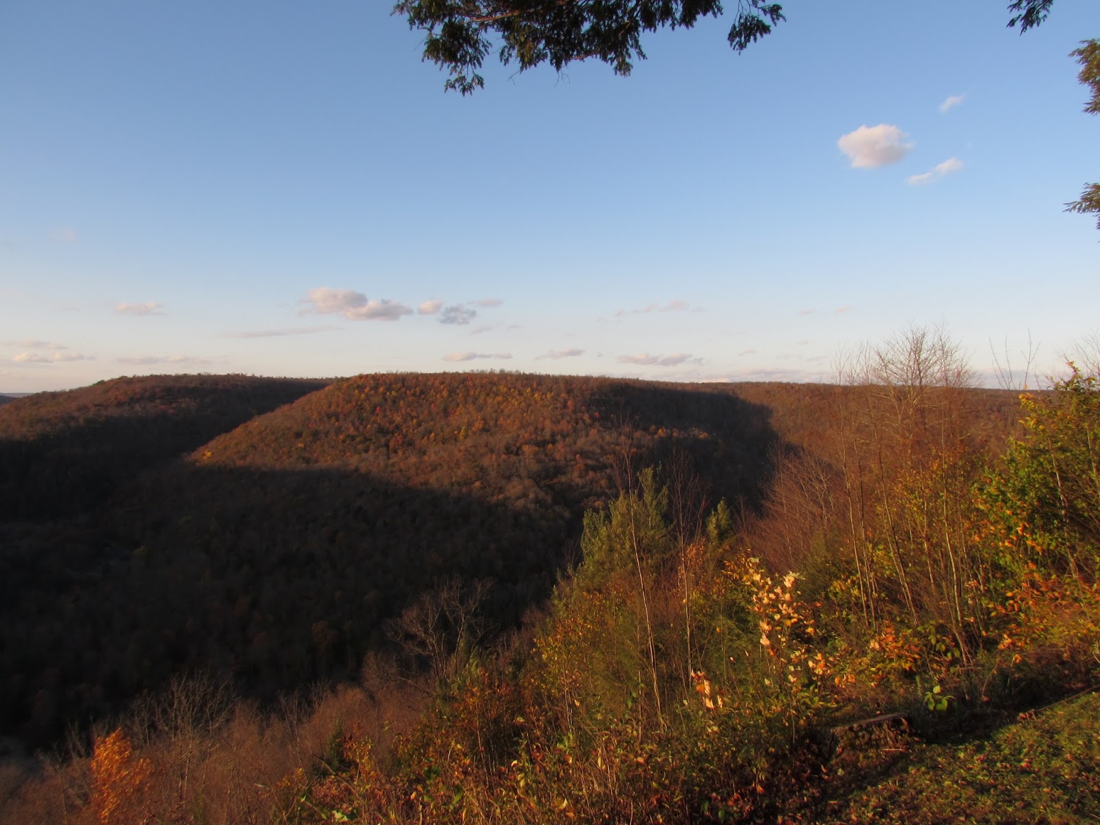 Loyalsock Canyon Vista, Worlds End State Park, Sullivan County, PA ...