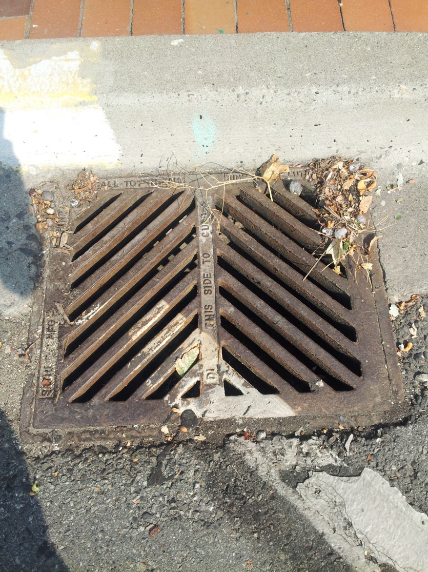 Cascadia's Conservation Conversation: Storm Drain Awareness